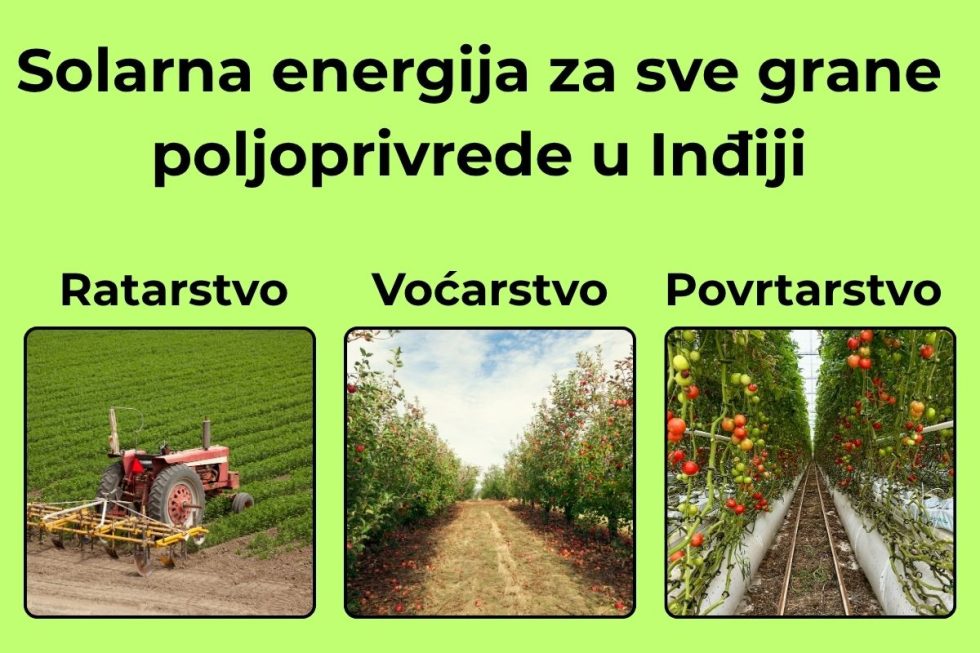 Solarni paneli u poljoprivredi Inđije | Solar Spectrum